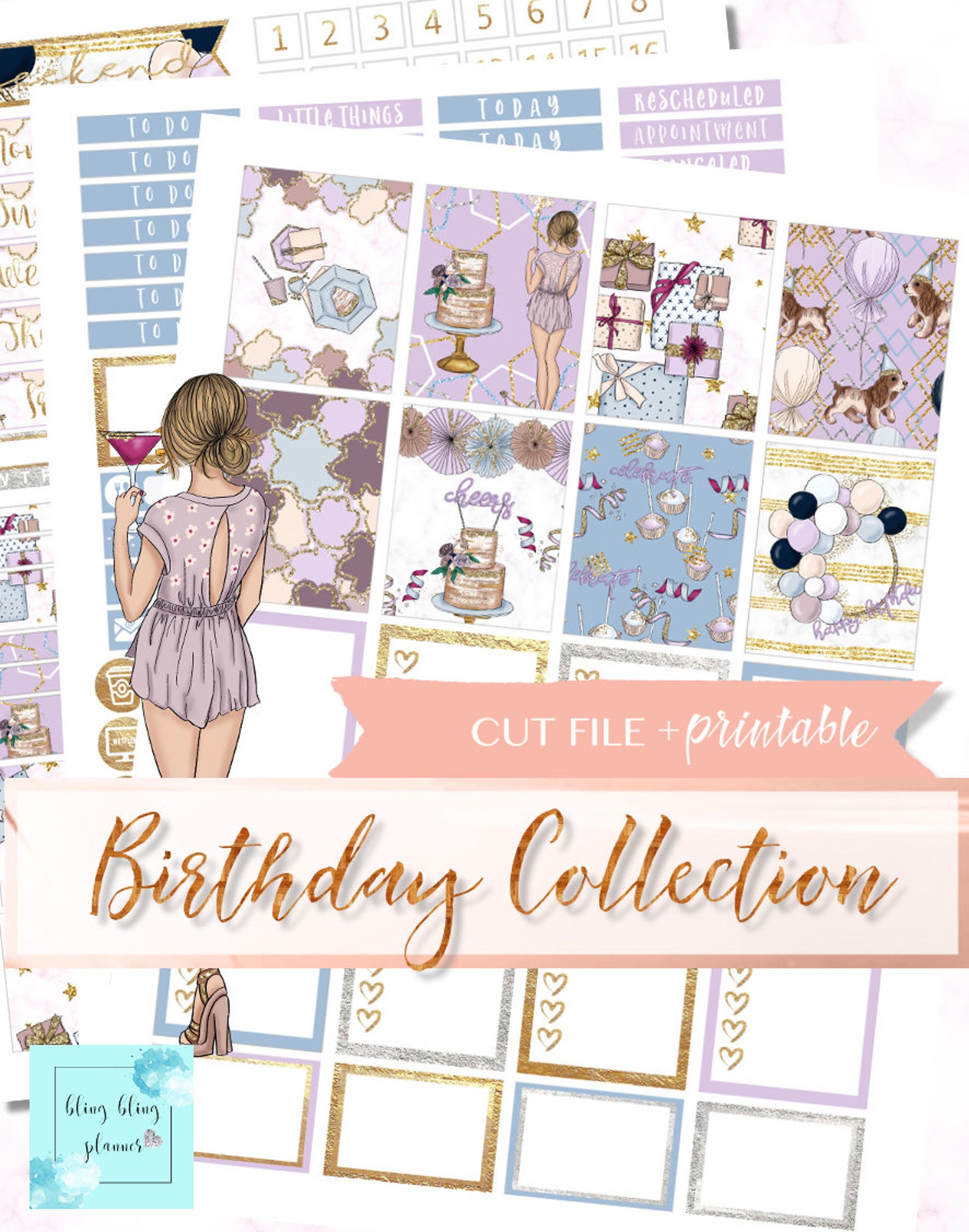 BIRTHDAY PRINTABLE Planner STICKERS, Birthday Planner Kit, Party ...