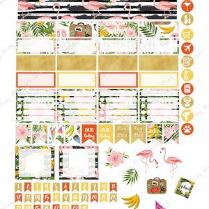 JUNE MONTHLY KIT, Monthly Planner Kit, Flamingo Sticker, June Monthly ...