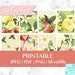 STRAWBERRY PRINTABLE PLANNER Stickers Lemon Printable Sticker | Etsy