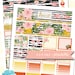 JUNE MONTHLY KIT, Monthly Planner Kit, Flamingo Sticker, June Monthly ...