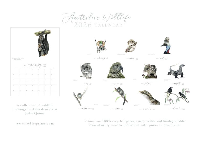 2026 Australian Wildlife Calendar - Etsy