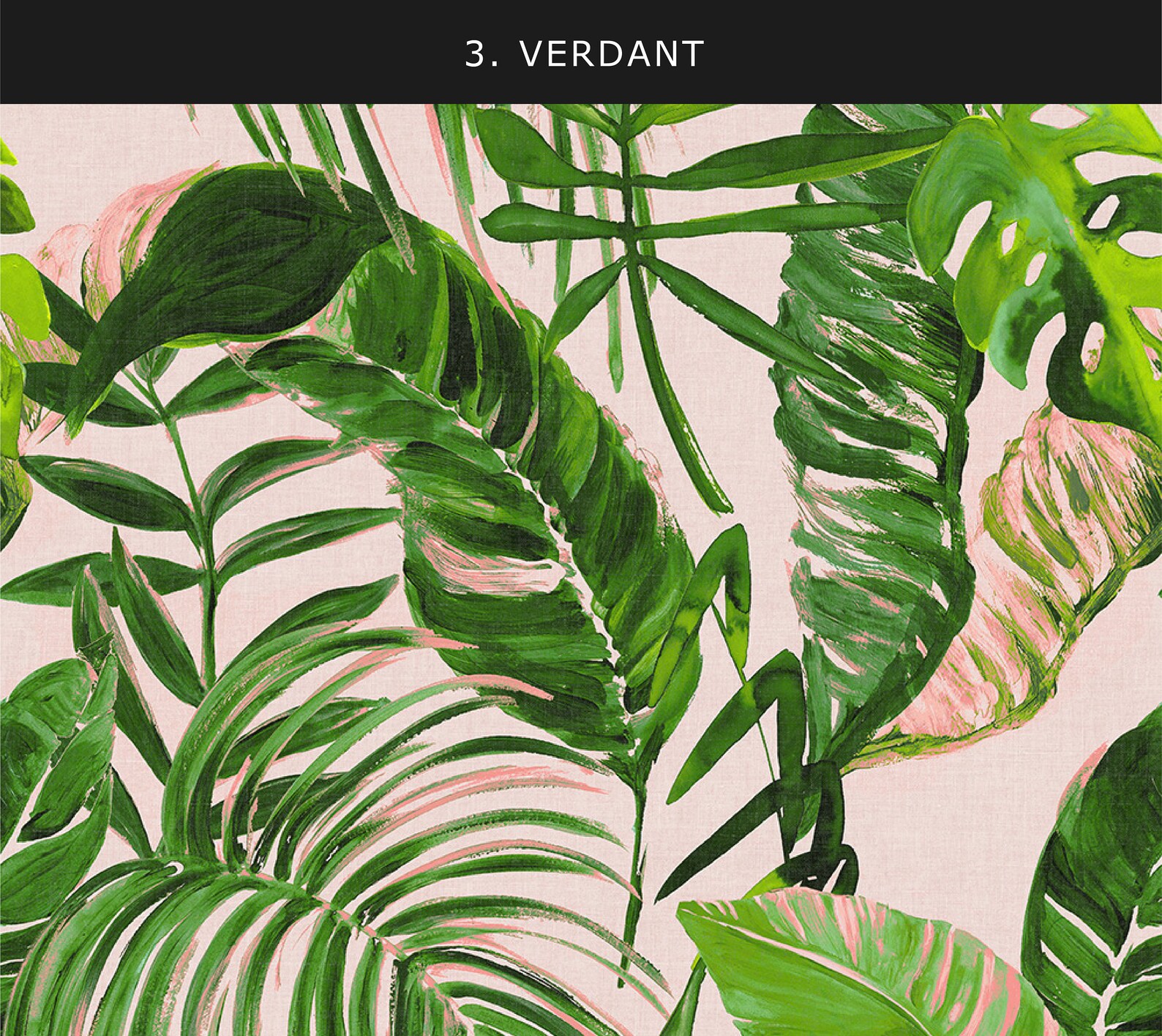 Palmera Wallpaper Collection, Tropical Green Palm Leaves, Tropical ...