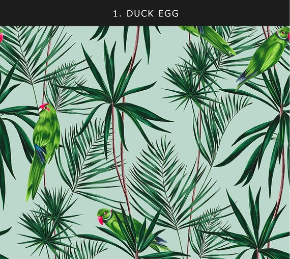 Amazon Birds Wallpaper