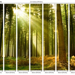 Evergreen Forest Wallpaper Mural for Bedroom Decor, Living Room Decor ...