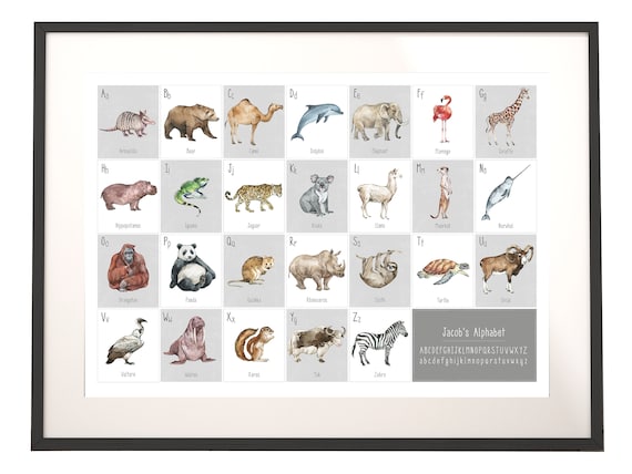 From A To Z Animals Alphabet Zoo From A To Z {ABC Chart}