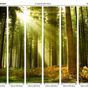 Evergreen Forest Wallpaper Mural for Bedroom Decor, Living Room Decor ...
