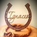 Cake Topper - Horseshoe Cake Topper - Wedding Cake Topper ...