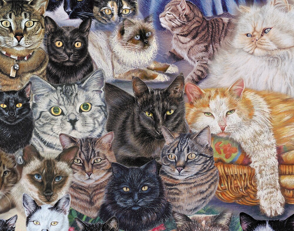 Printable Cat Greeting Card. Kitten Card. Instant Digital - Etsy