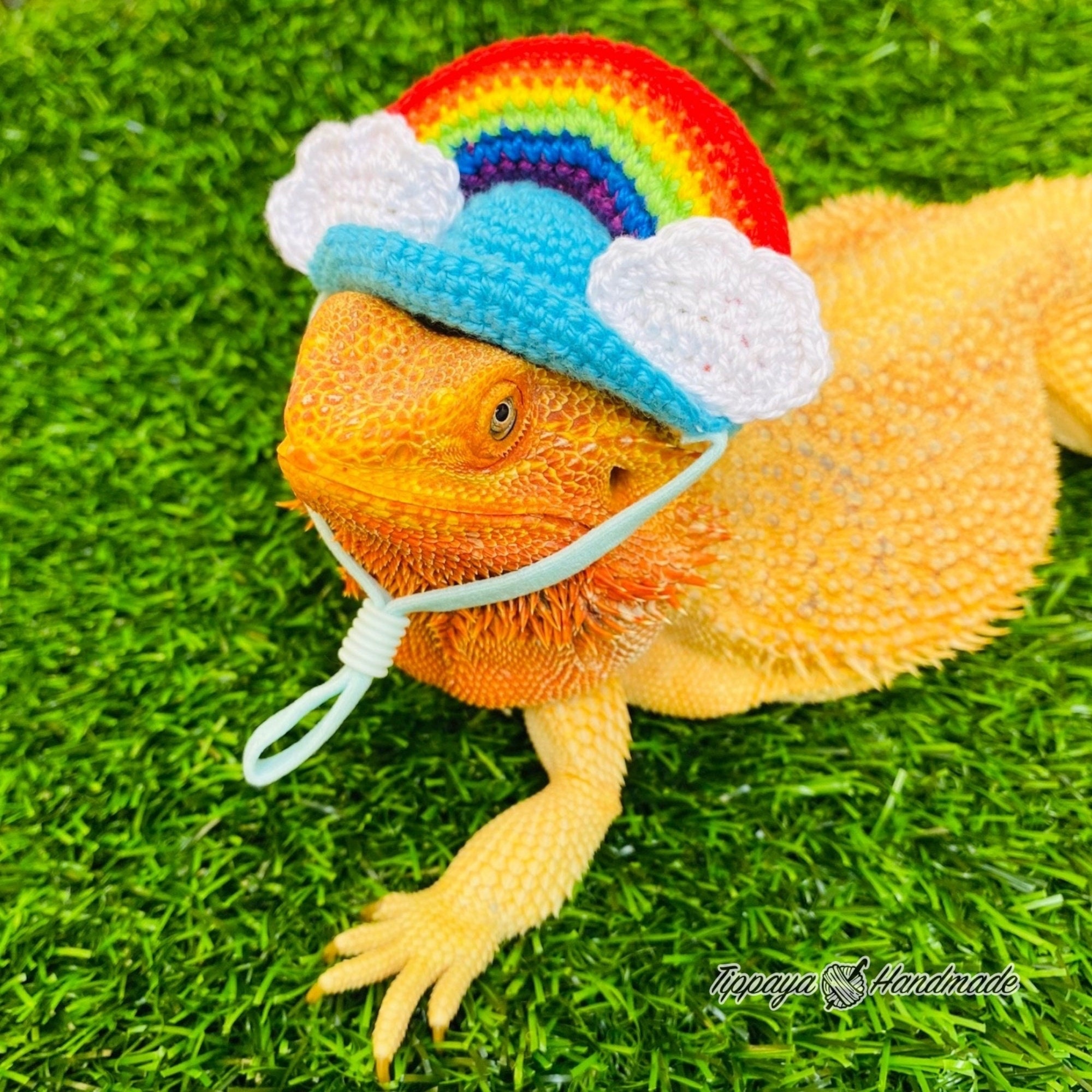 Crochet Headband Pattern for Bearded Dragon Set 3 - Etsy