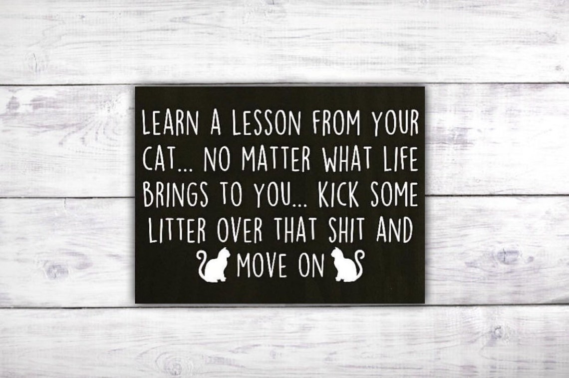 Cat Wisdom Sign Never Give Up Quotes About Life Cat Dad | Etsy