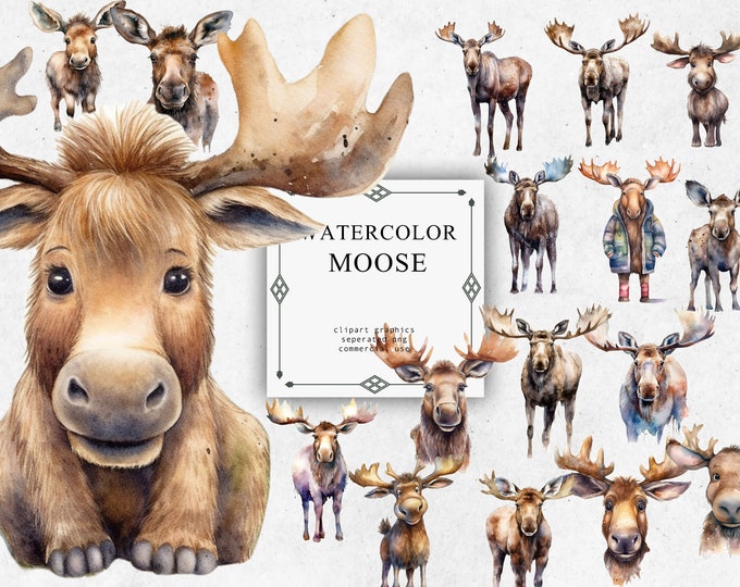 50 PNG Moose Clipart Bundle | Moose Drawing Graphics | Digital Download ...