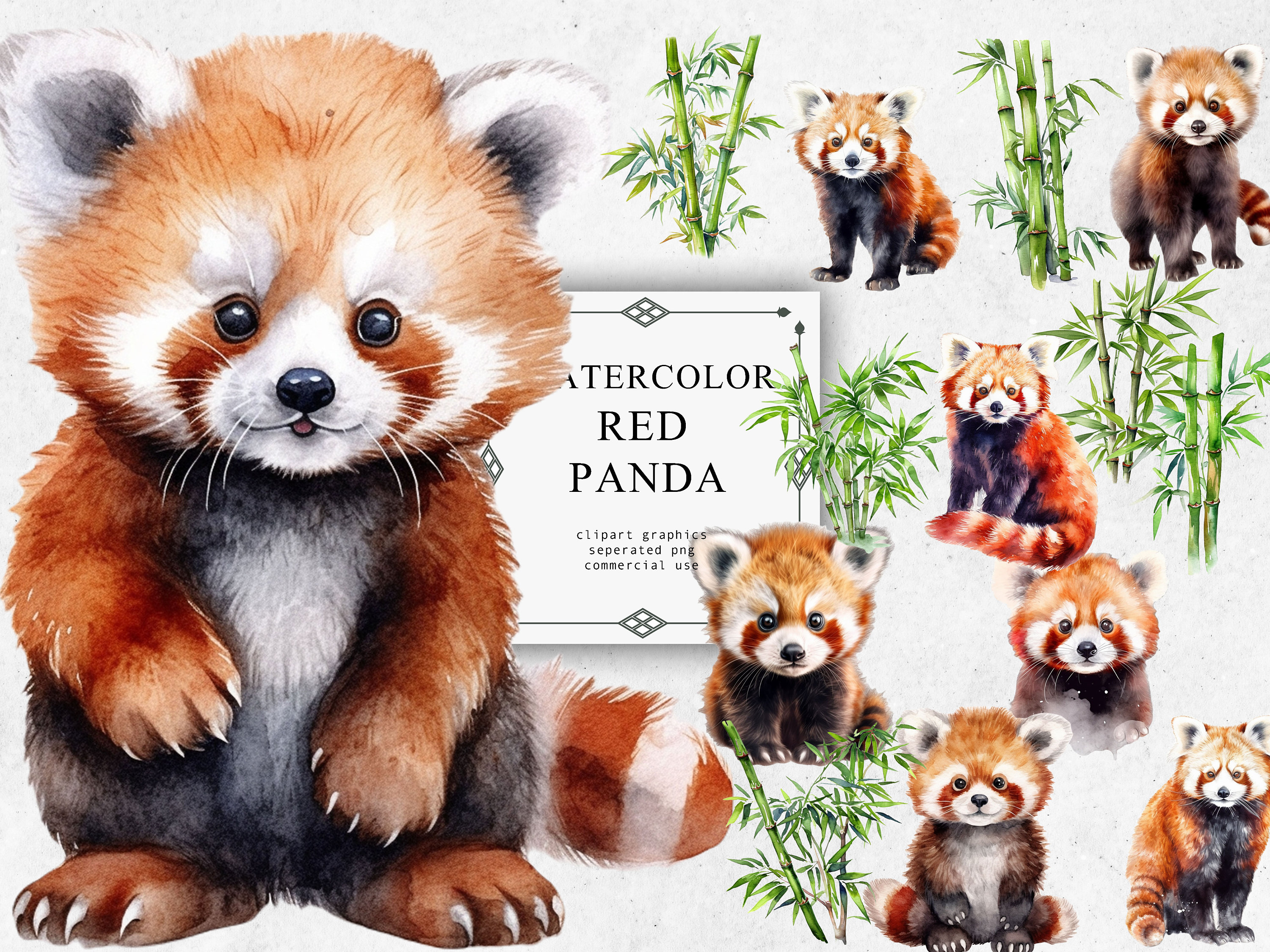 Red Panda Clipart Set in Transparent PNG - Red Panda Watercolor Digital ...