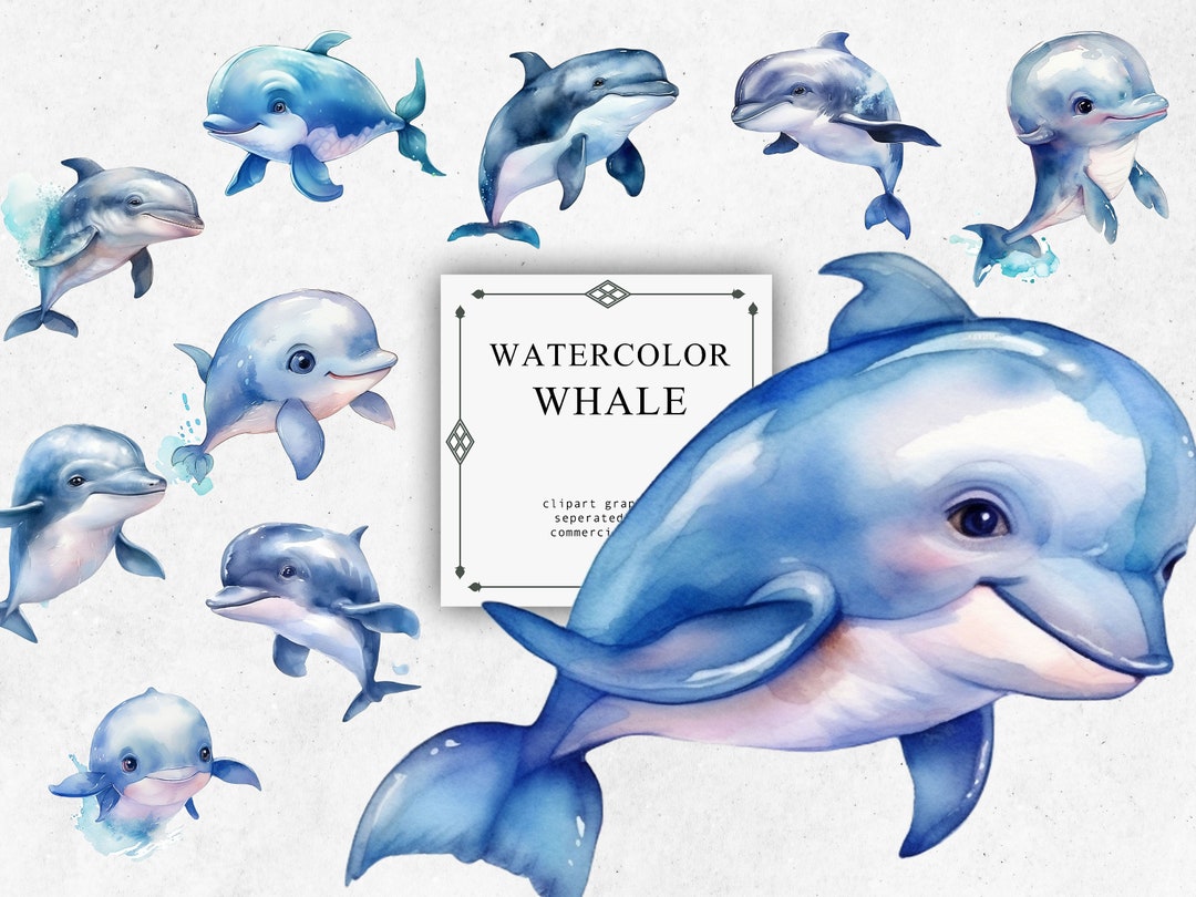 Baby Whale Clipart Set in Transparent PNG - Baby Whale Watercolor ...