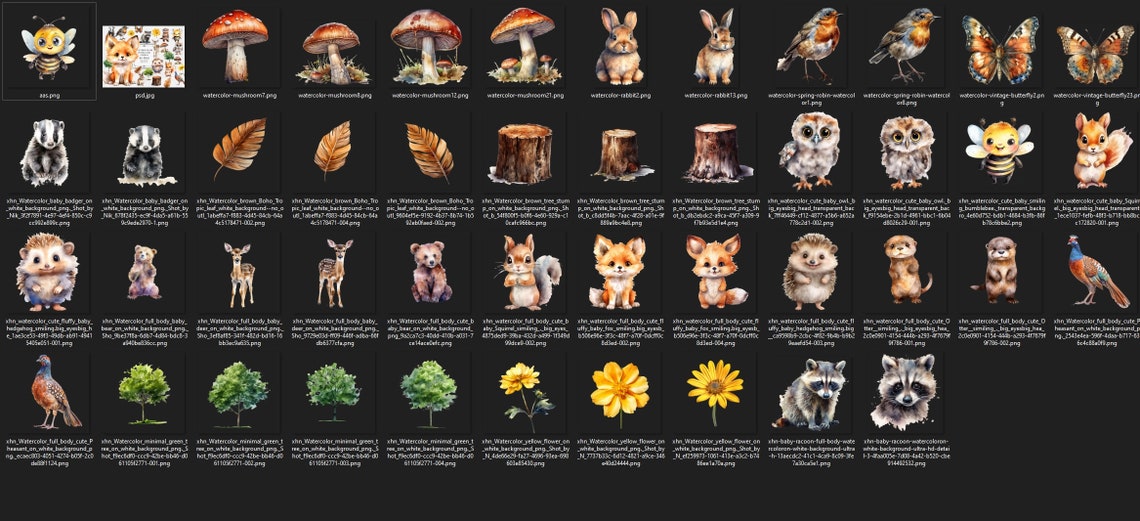 45 Woodland Animals Clipart Bundle in Transparent PNG Woodland Animals ...