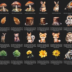 45 Woodland Animals Clipart Bundle in Transparent PNG - Woodland ...