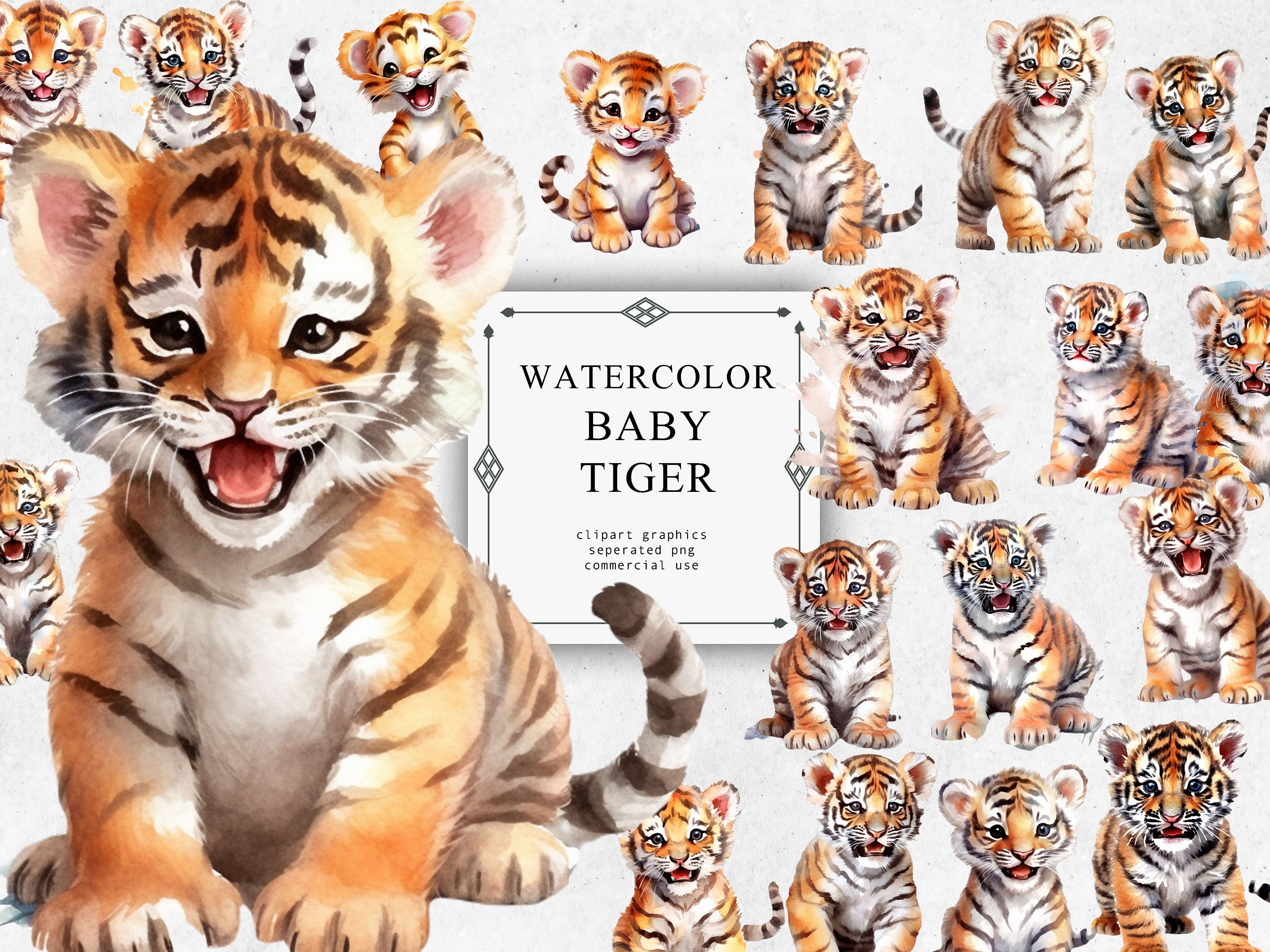 Cute Baby Tiger Clipart Set in Transparent PNG Cute Baby Tiger ...