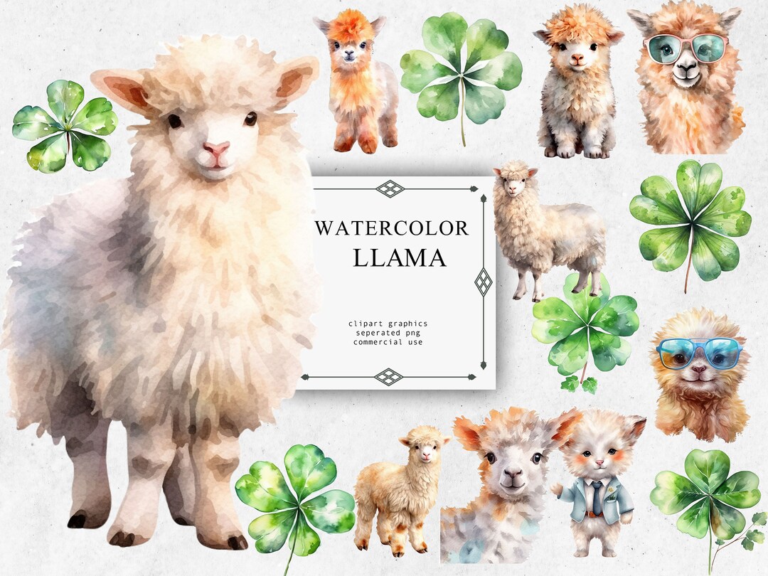 Llama Clipart Set in Transparent PNG - Llama Watercolor Digital Image ...
