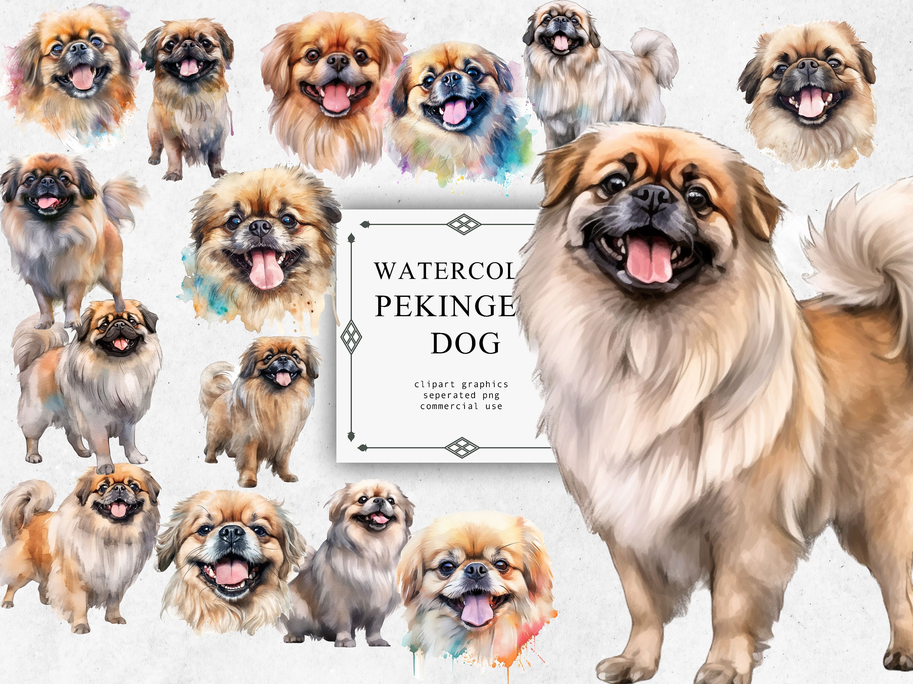 Pekingese Clipart Set in Transparent PNG - Pekingese Watercolor Digital ...