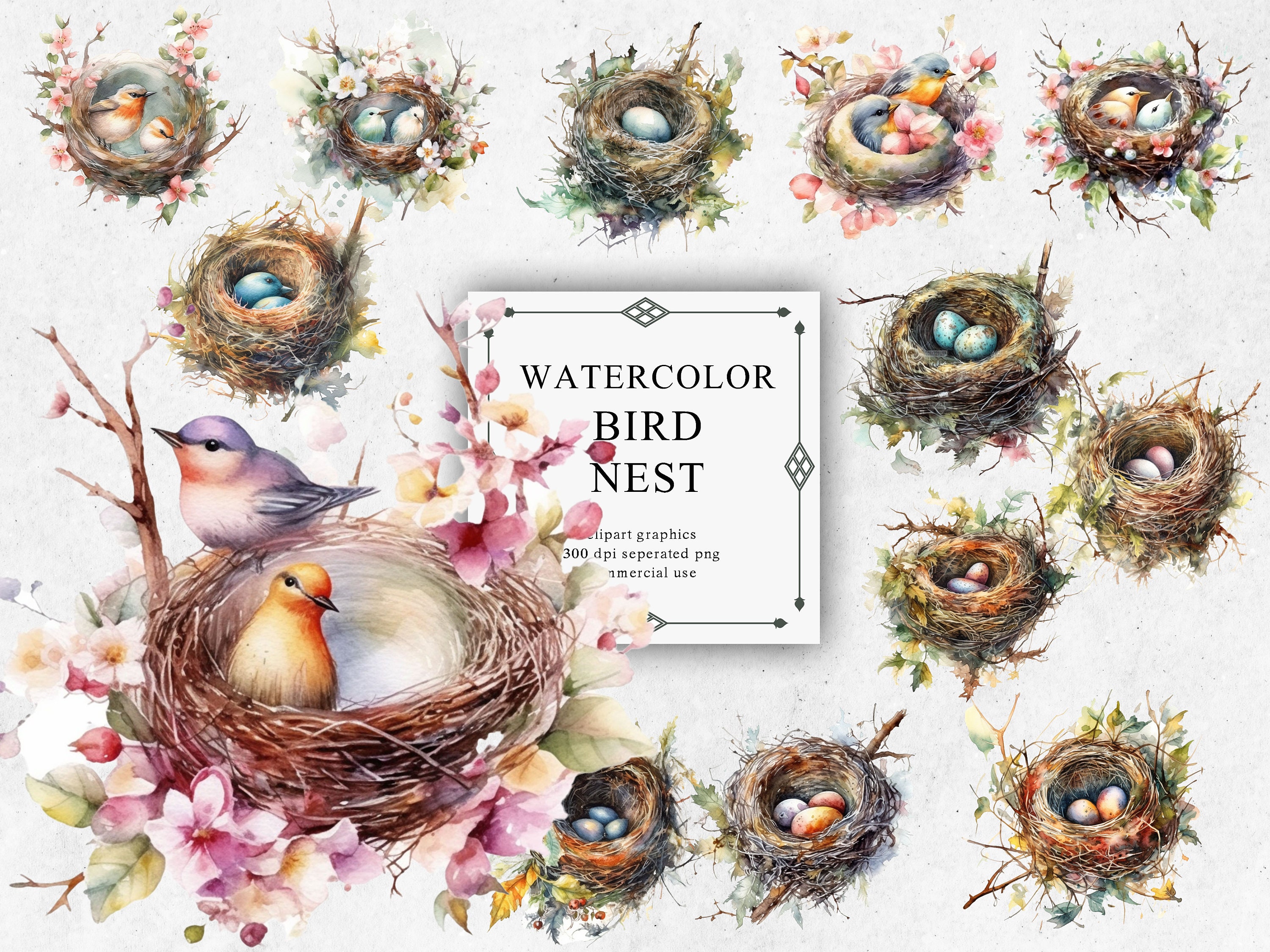 17 Bird Nest Clipart Watercolor Bundle Png Graphics Images Pack ...