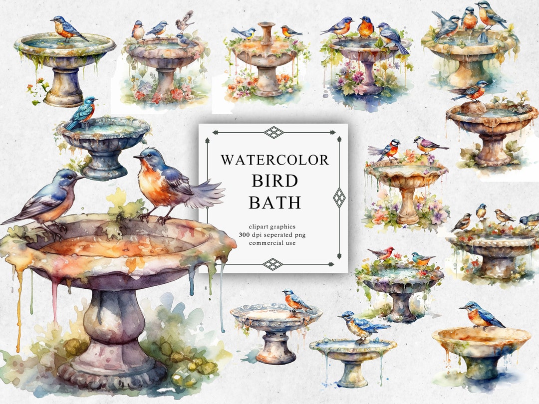 19 Bird Bath Clipart Watercolor Bundle Png Graphics Images Pack ...