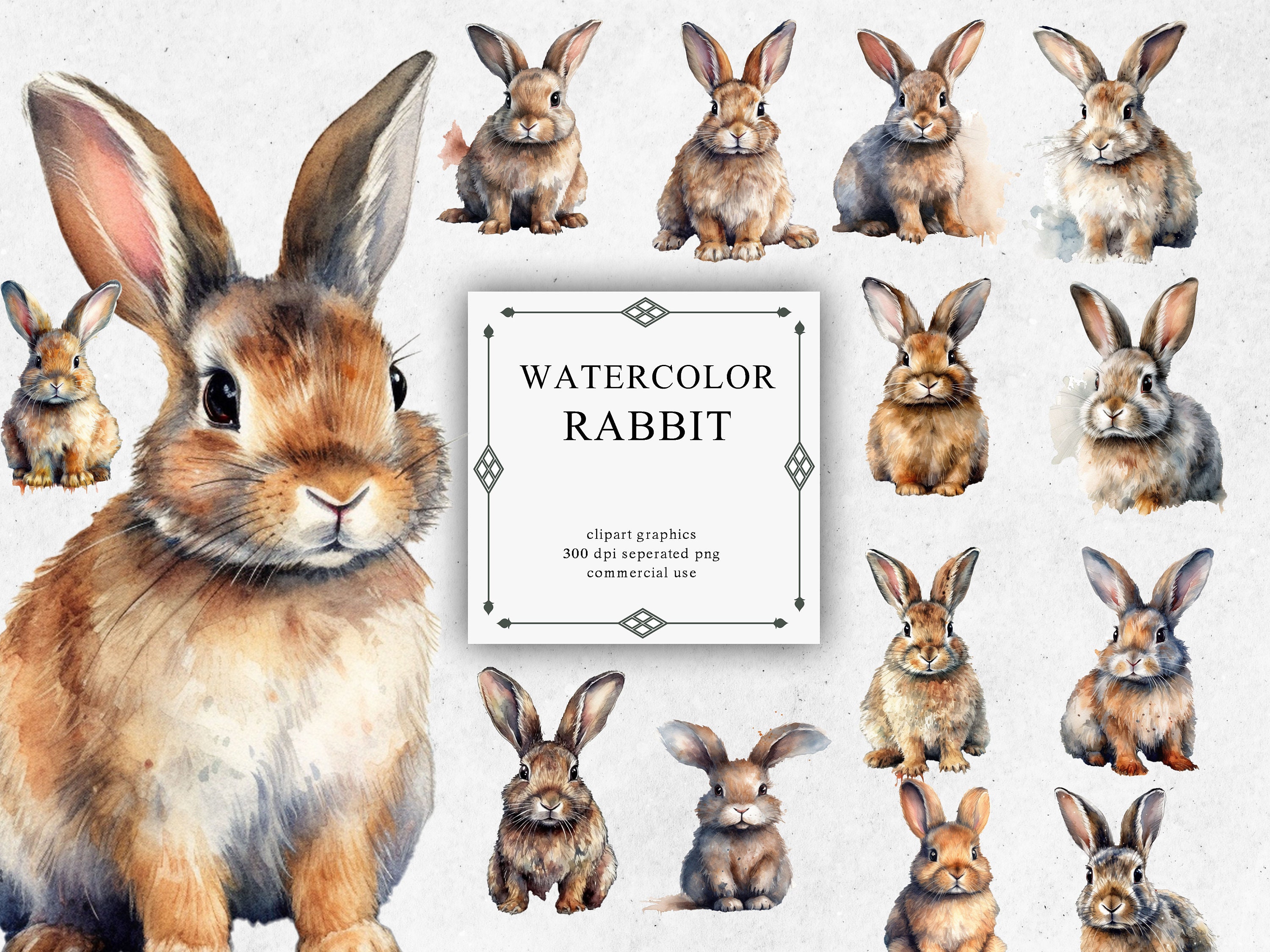 19 Rabbit Clipart Set in Transparent PNG - Watercolor Digital Image ...