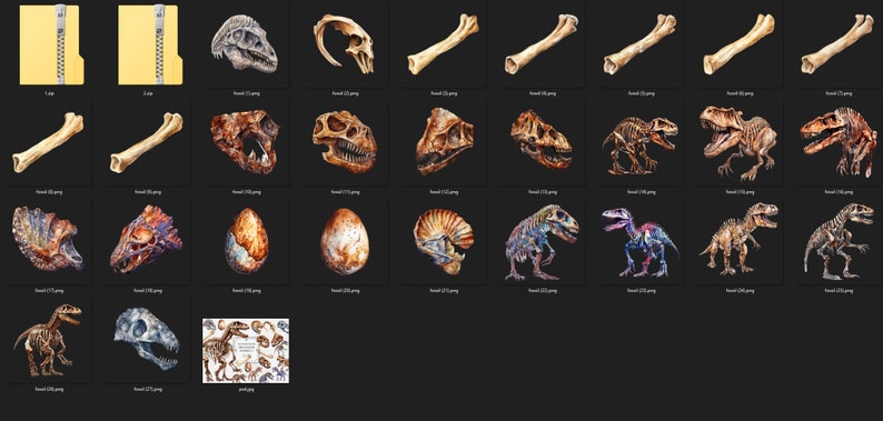 Dinasour Fossil Clipart Set in Transparent PNG - Dinasour Fossil ...