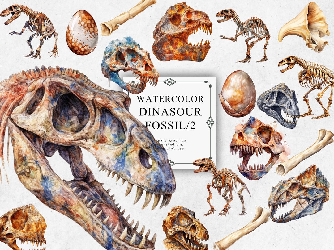 Dinasour Fossil Clipart Set 2 in Transparent PNG - Dinasour Fossil ...