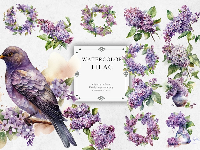 15 Lilac Clipart Watercolor Bundle Png Graphics Images Pack - Digital ...