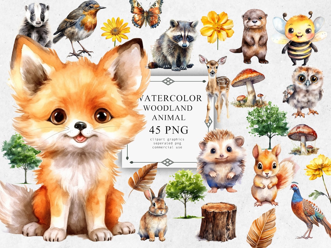 45 Woodland Animals Clipart Bundle in Transparent PNG - Woodland ...
