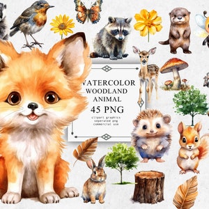 45 Woodland Animals Clipart Bundle in Transparent PNG - Woodland ...