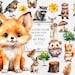 45 Woodland Animals Clipart Bundle in Transparent PNG - Woodland ...