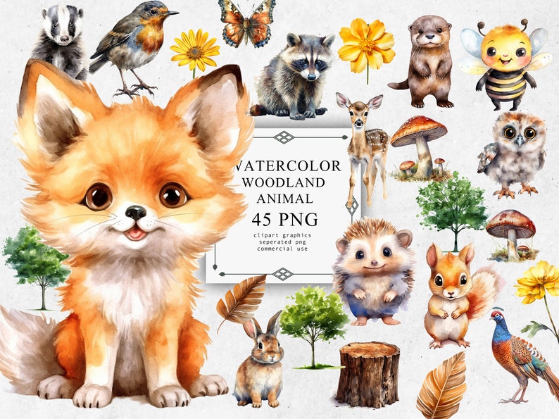 45 Woodland Animals Clipart Bundle in Transparent PNG - Woodland ...