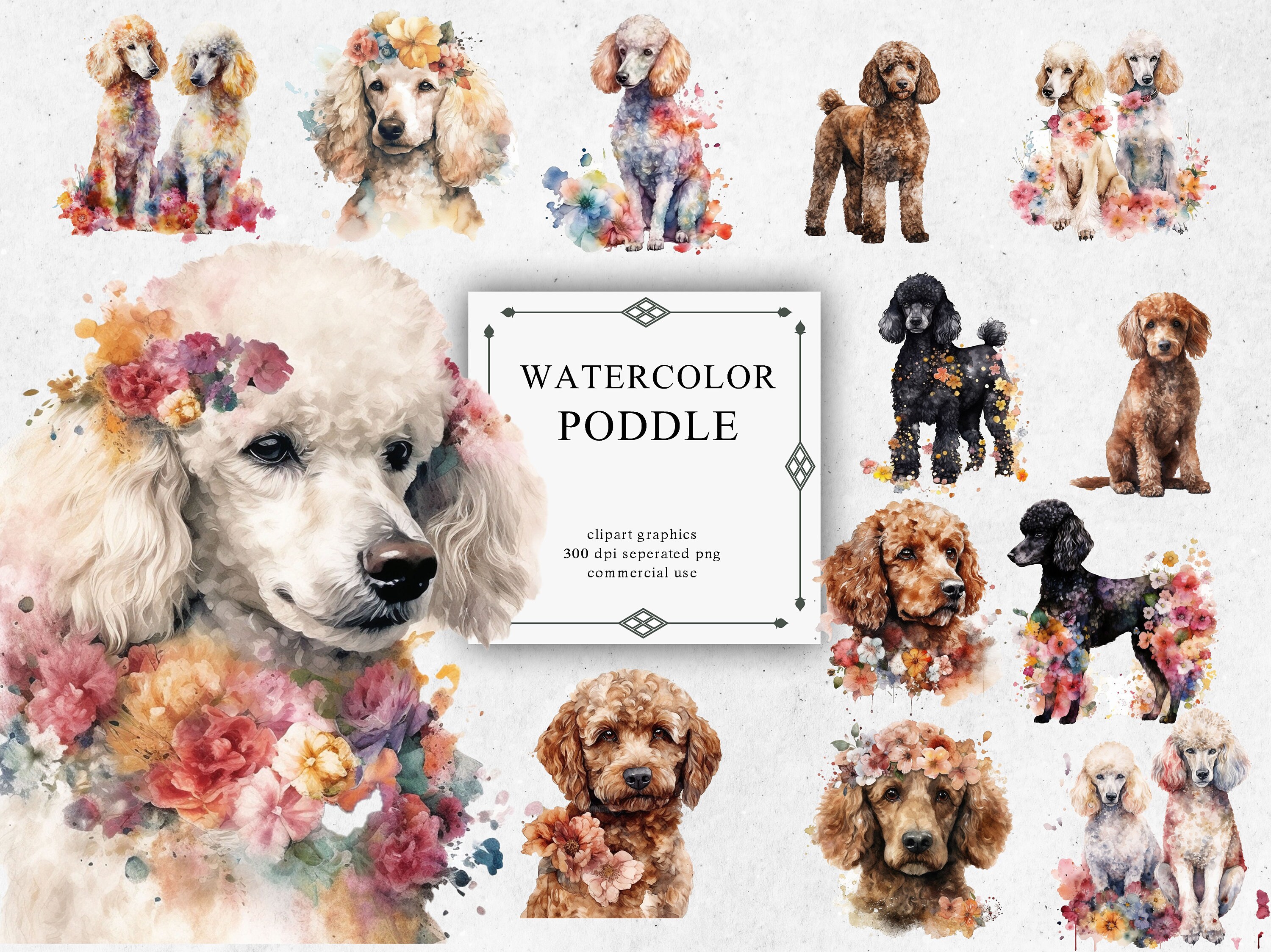 27 Poddle Clipart Set in Transparent PNG - Watercolor Digital Image ...