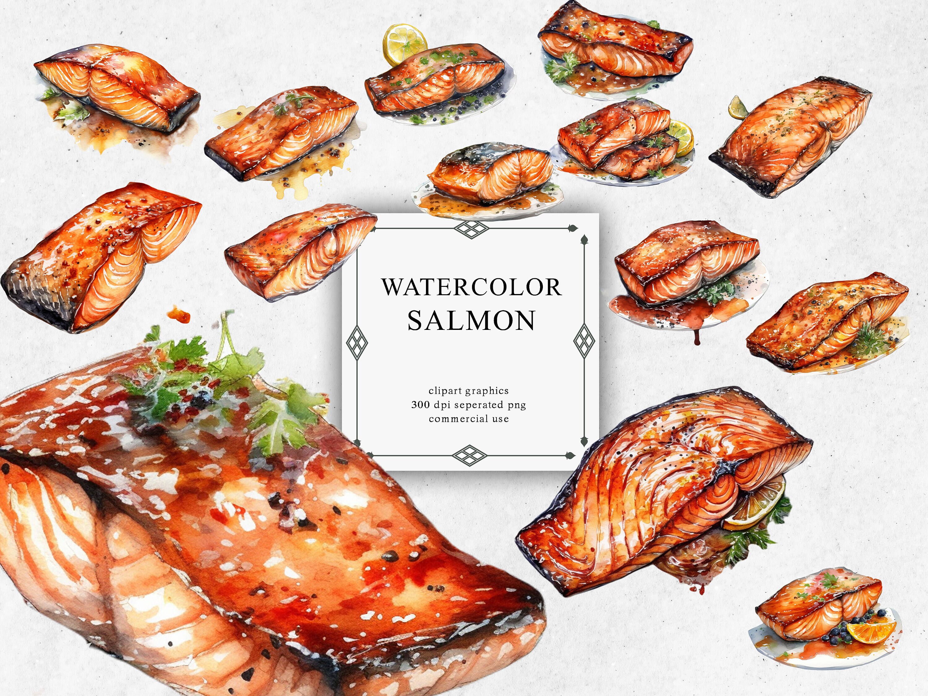 Salmon Fillet Clip Art