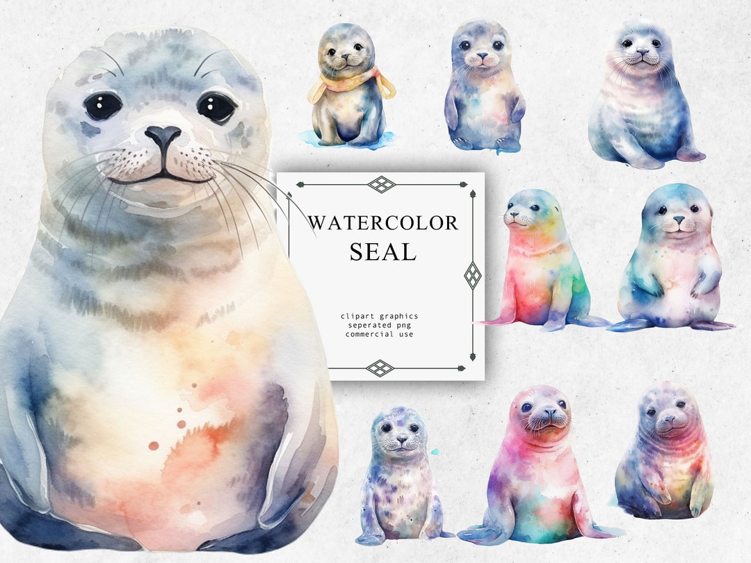 Seal Clipart Set in Transparent PNG - Seal Watercolor Digital Image ...