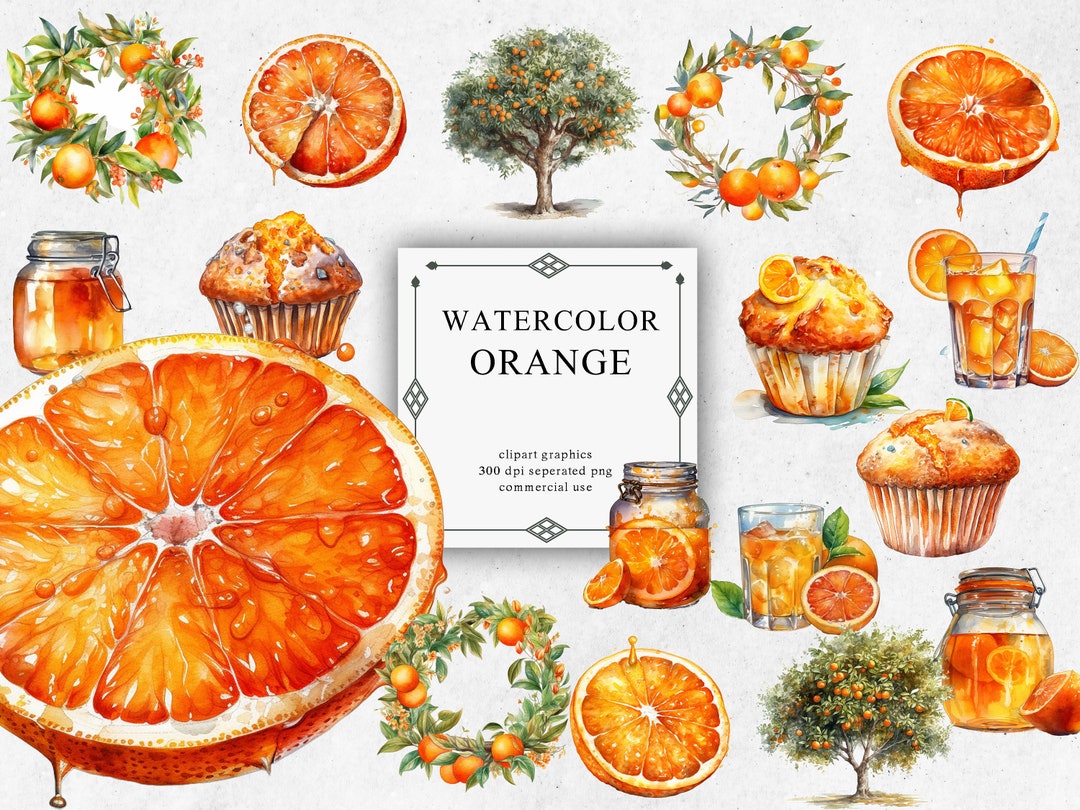 25 Orange Clipart Set in Transparent PNG - Orange Watercolor Digital ...