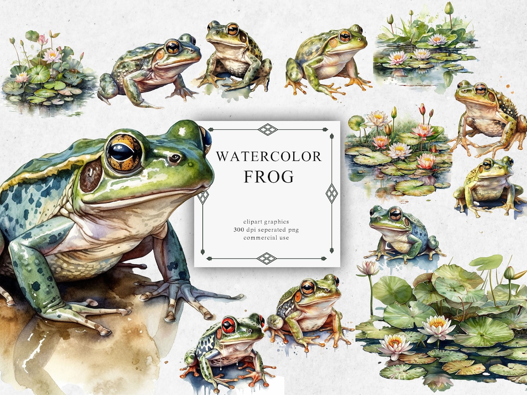 18 Frog Clipart Set in Transparent PNG - Watercolor Digital Image ...