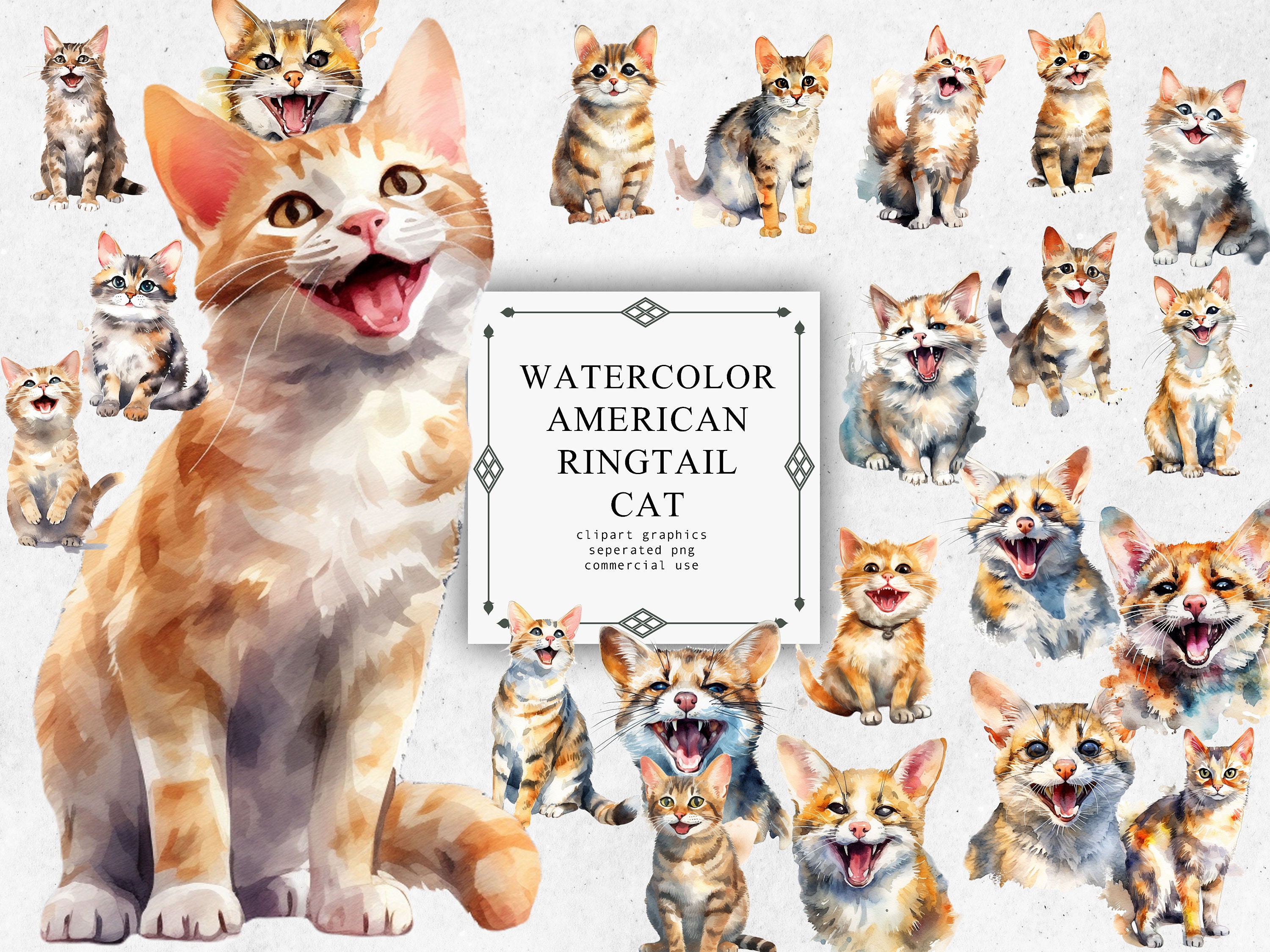 Ringtail Cat Clipart Set in Transparent PNG - Ringtail Cat Watercolor ...