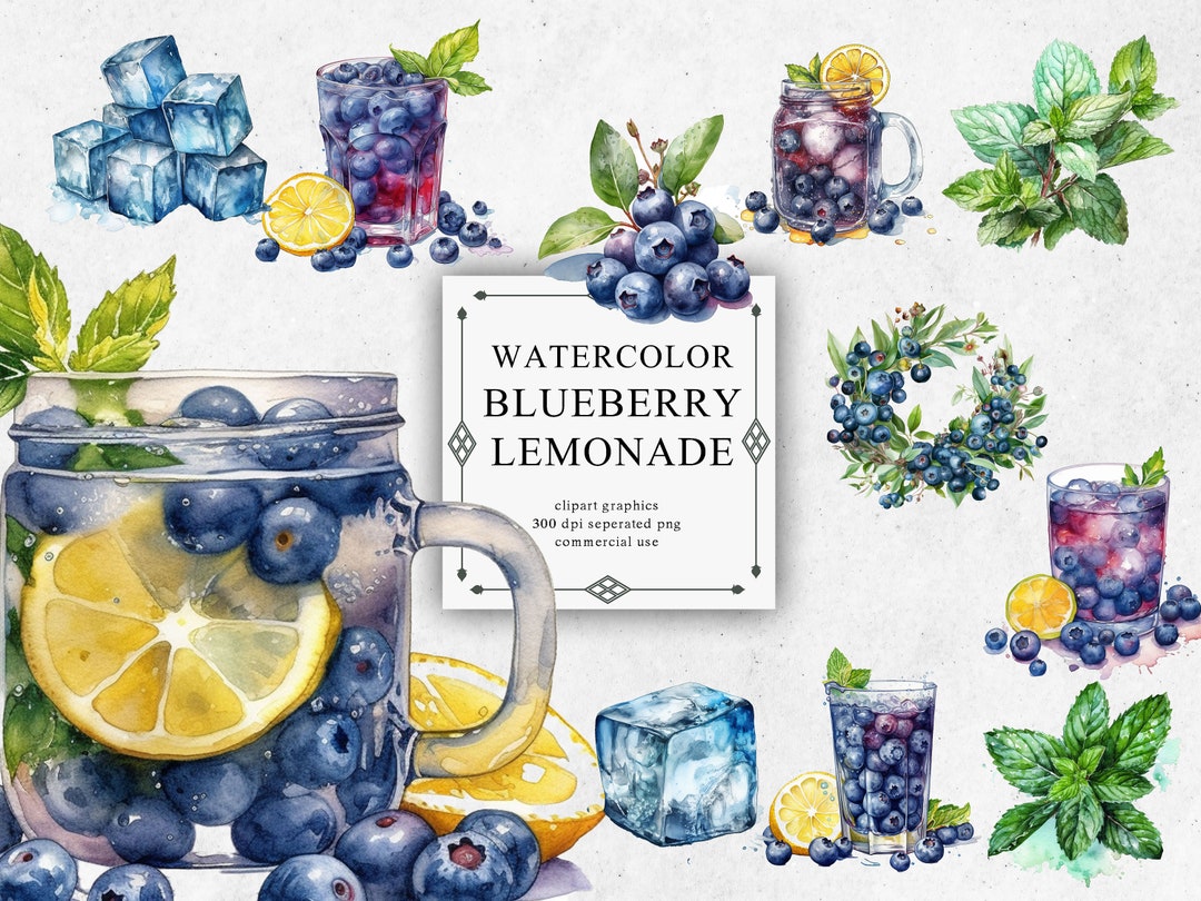 23 Watercolor Blueberry Lemonade Clipart - Digital PNG Blueberry ...