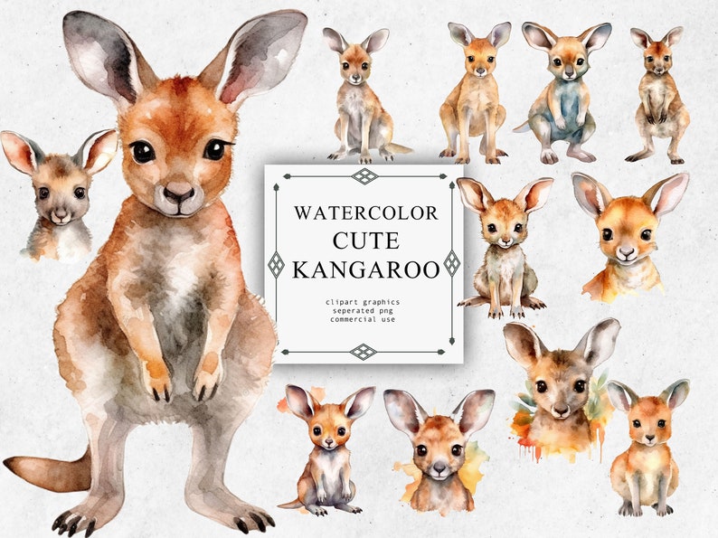Kangaroo Clipart Set in Transparent PNG - Kangaroo Watercolor Digital ...