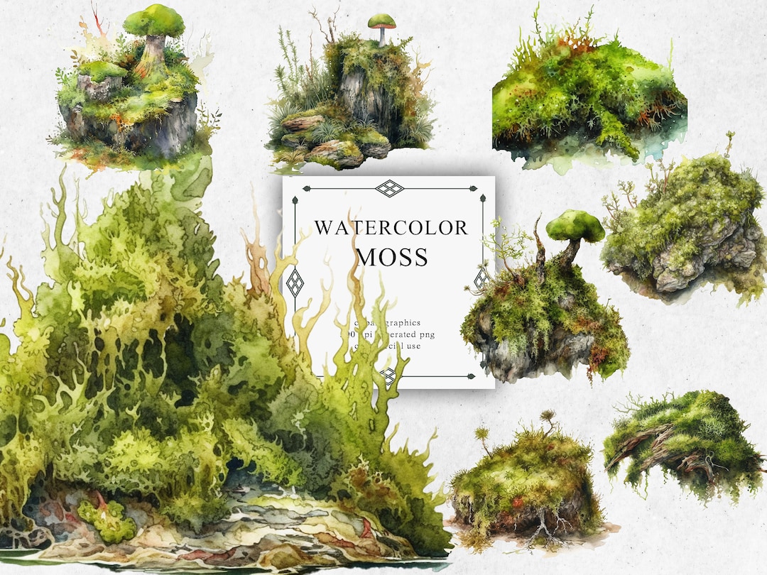 8 Moss Clipart Watercolor Bundle Png Graphics Images Pack - Digital ...