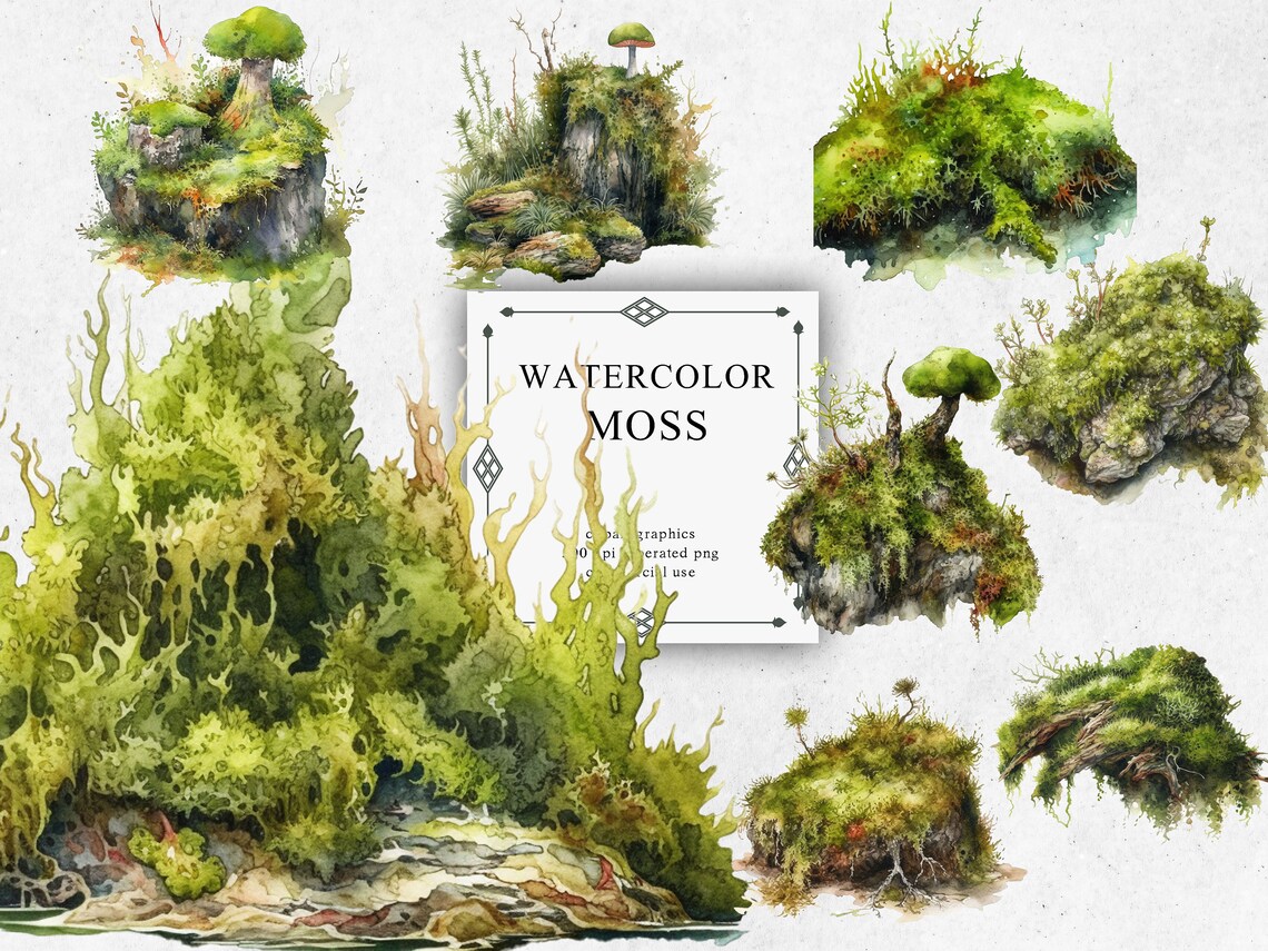 8 Moss Clipart Watercolor Bundle Png Graphics Images Pack - Digital ...