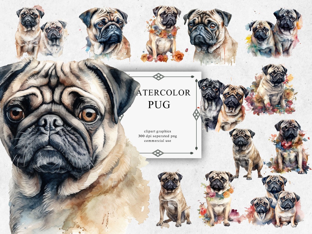 15 Pug Clipart Set in Transparent PNG - Watercolor Digital Image ...