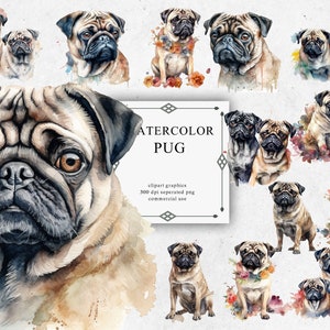 15 Pug Clipart Set in Transparent PNG - Watercolor Digital Image ...
