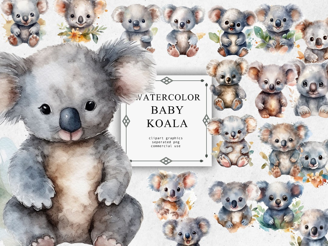 Baby Koala Clipart Set in Transparent PNG - Baby Koala Watercolor ...