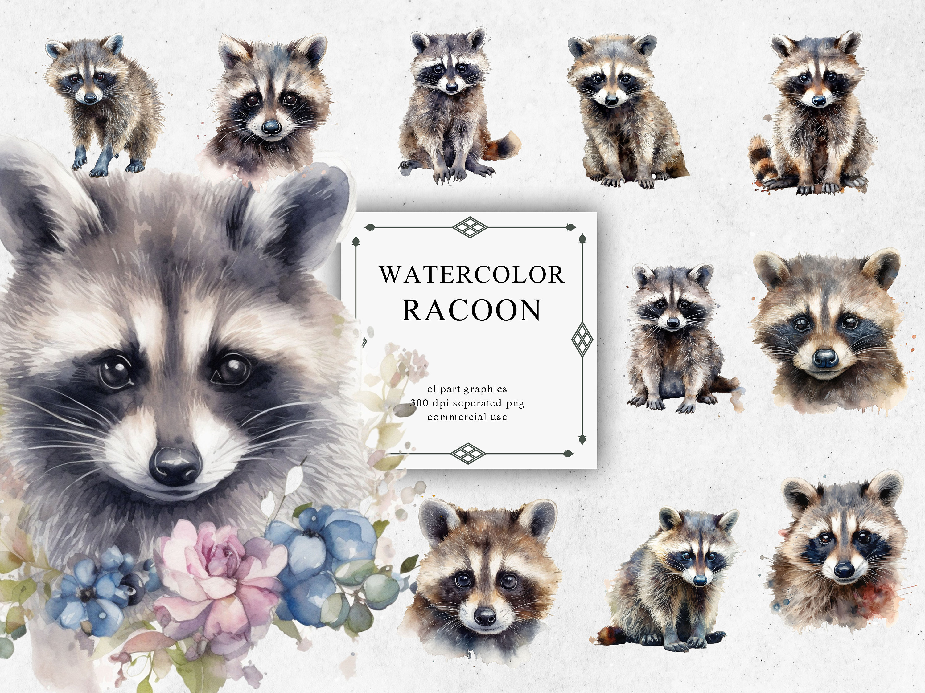 11 Racoon Clipart Set in Transparent PNG - Racoon Watercolor Digital ...