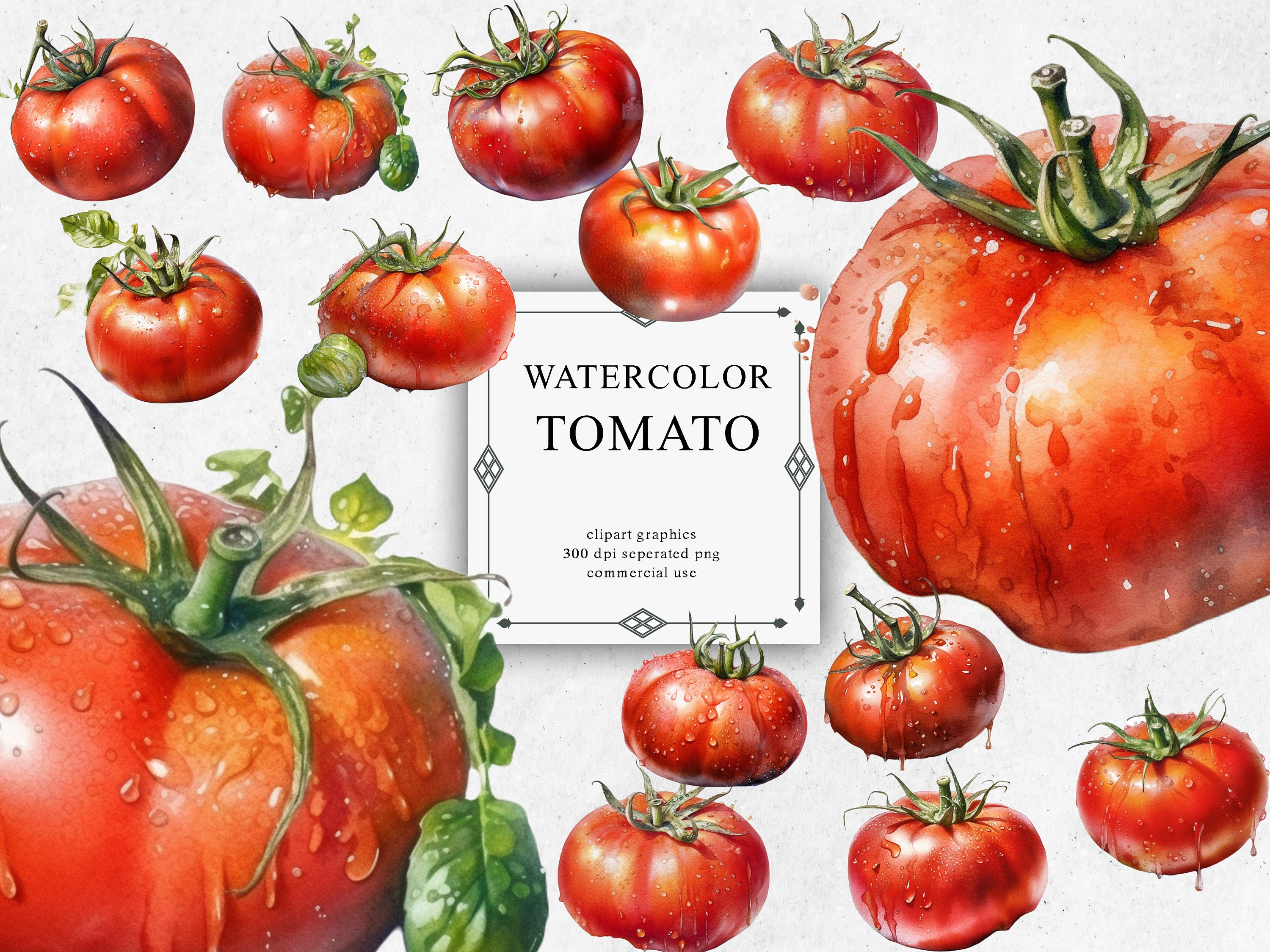 30 Watercolor Tomato Sticker Set in Transparent PNG - Digital Image ...