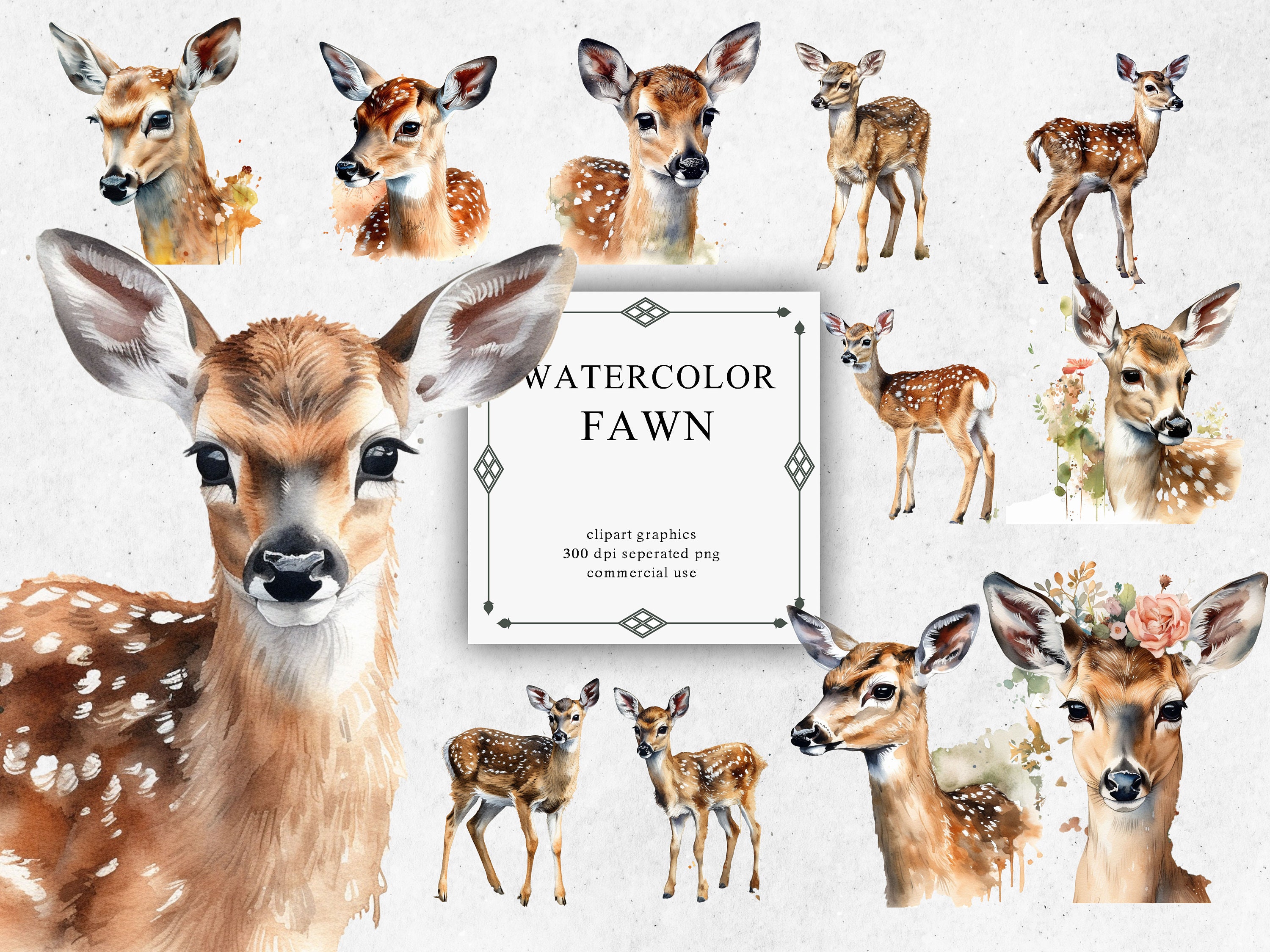 19 Watercolor Fawn Clipart - Digital PNG Fawn. Deer PNG Transparent ...