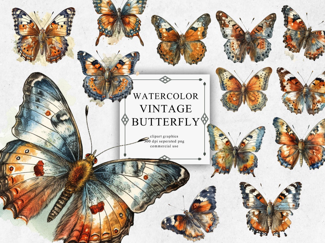 23 Vintage Butterfly Clipart Set in Transparent PNG - Vintage Butterfly ...