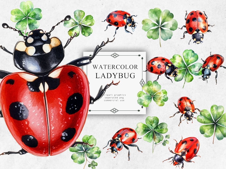 Ladybug Clipart Set in Transparent PNG - Ladybug Watercolor Digital ...